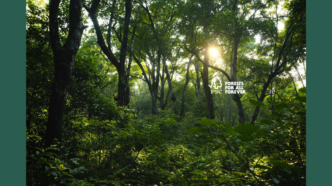 The value of responsible forest stewardship for biodiversity | Forest Stewardship Council